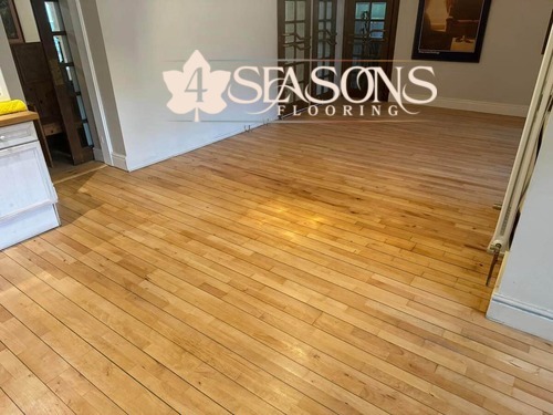 Beech Wood Flooring
