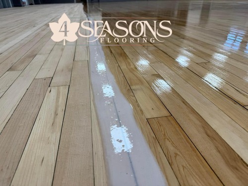 Maple Wood Flooring